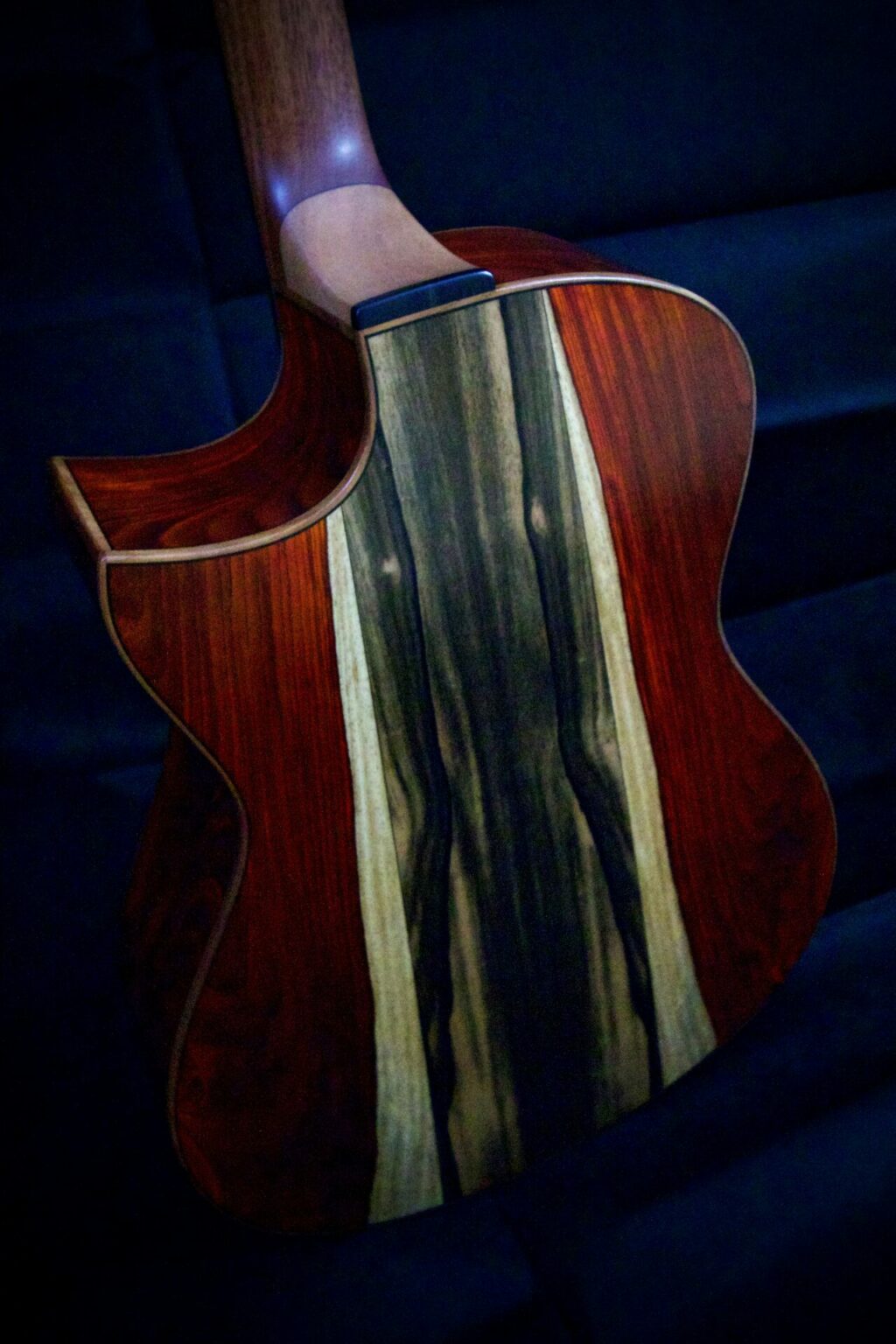 OM “Dakota” Cocobolo pan coupé – GaetGore Guitars